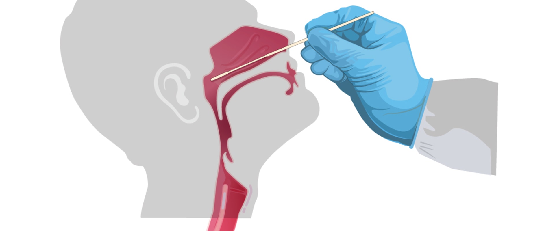 Understanding Swab Tests